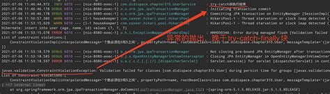 Constraintviolationexception最后不也抛出了，为什么没被catch到？ 程序猿dd