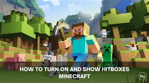 Minecraft How To Turn On And Show Hitboxes The Daily Juice