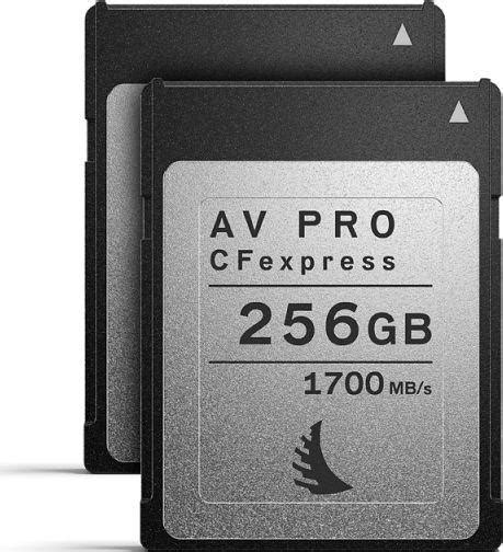 Angelbird Match Pack Canon EOS R5 CFexpress 256 GB + 256 GB (MP-R51DX ...