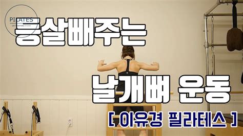 등살빼는법 날개뼈 근육 만들기 필라테스 바렐 치킨윙 Youtube