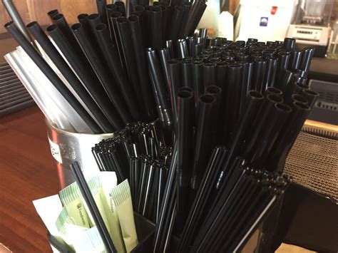 식당 종이컵·편의점 비닐봉투 24일부터 못쓴다1년 계도기간