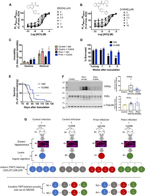 M 1 Receptor Pams Restore Learning And Memory And Prolong Survival In Download Scientific