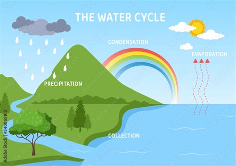 Evaporation Water Cycle