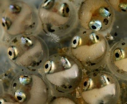 The Body Blog Sex Evolves