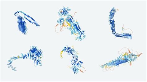 Accelerating Structure Prediction Of Protein Monomers And Multimer By