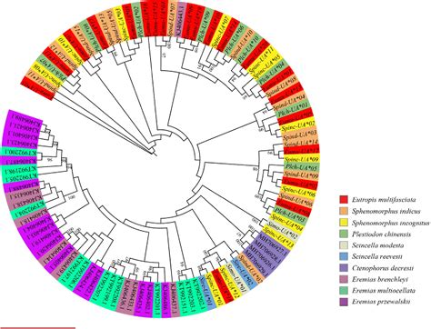 Table 1 From Next Generation Sequencing Of Mhc Class I Genes Reveals