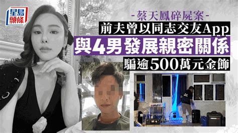 蔡天鳳碎屍案落網前夫8年前涉同志交友App騙案 呃510萬元金飾被捕 星島日報