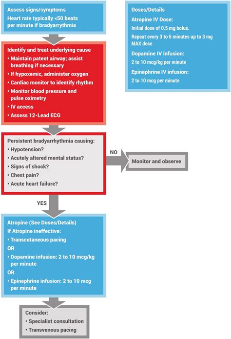Acls Adult Bradycardia With Pulse Algorithm
