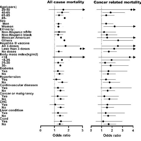 Potential Theoretical Link Between Hepatitis B Surface Antibody And