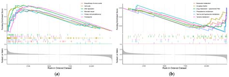 Identification And Validation Of Erna As A Prognostic Indicator For