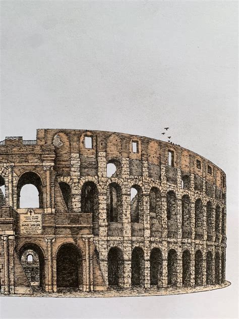 The Colosseum Print Coloured Illustration Etsy