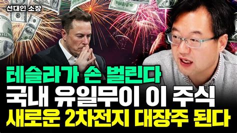 테슬라가 손 벌린다 국내 유일무이 이 주식 새로운 2차전지 대장주 된다｜선대인 소장 2부 Youtube