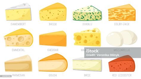 만화 치즈 유형 치즈 삼각형 체다 브리 모짜렐라 파마산 카망베르 벽돌 맛있는 치즈 벡터 일러스트레이션 세트 체더 치즈에 대한 스톡 벡터 아트 및 기타 이미지 Istock