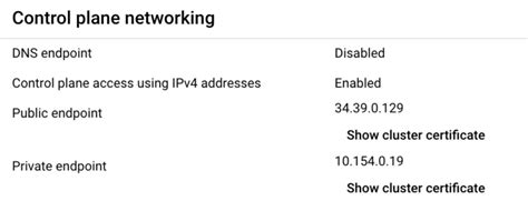 Using Gke Dns Based Endpoints For Secure Cluster Access Cyberark