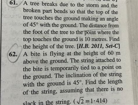 A Tree Breaks Due To The Storm And The Broken Part Bends So That The