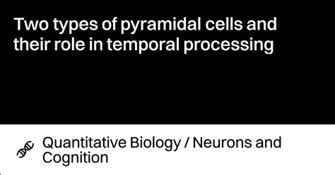 Exploring The Functional Hierarchy Of Different Pyramidal Cell Types In Temporal Processing
