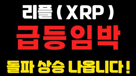 리플코인 급등임박 돌파 상승 나옵니다 불독코인프리세일코인시바이누코인리플이더리움도지코인코인단타사면가tv Youtube