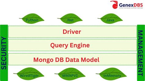 Keerthana E On Linkedin Mongodb Genexdbs Bloglink