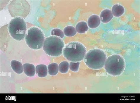 Spherical Bacteria Microscope