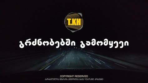 თემო ხვიბლიანი გრძნობებში გამომყევი Grdznobebshi Gamomyevi Youtube