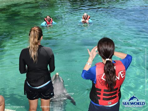 Anytime Auslan Interpreters Inperson Gold Coast Auslan Interpreter