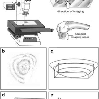 A Timing Diagram For VSYNC And HSYNC B Timing Diagram For HSYNC MCLK Download Scientific
