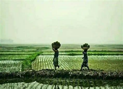 সবাই কে সরস্বতী পূজার শুভেচ্ছা রইল