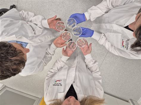 Cell Based Cocoa Maker Kokomodo Bags 750000 In Funding