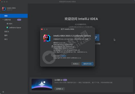 intellij idea 2023 for mac java语言开发集成环境 v2023 1 2破解版 mac软件下载