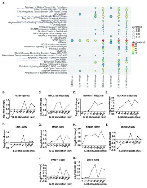 A Reactome Pathway Analysis Of Upregulated Phosphoproteins Showed Download Scientific Diagram