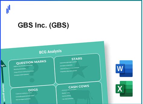 Gbs Inc Gbs Bcg Matrix Analysis