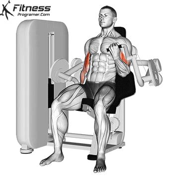 How To Lever Biceps Curl Benefits And Muscles Worked Bicep Curls Biceps Gym Crossfit Workout