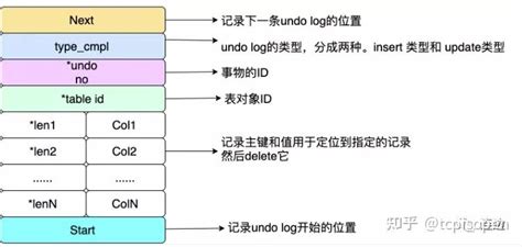 详解 Mysql 的 Undo Log 知乎