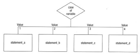 Case Pseudocode Computersciencementor Hardware Software