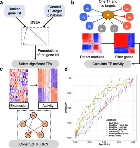Schematics Of Netact A First Key Transcription Factors Tfs Are Download Scientific Diagram