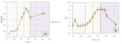 Biomass Growth Characteristics Of B Cereus 4b In The B4 Caur Medium