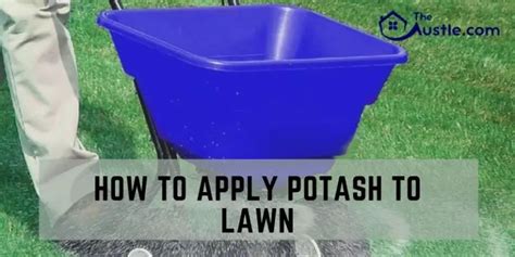 How To Apply Potash To Lawn Be Aware Before Using