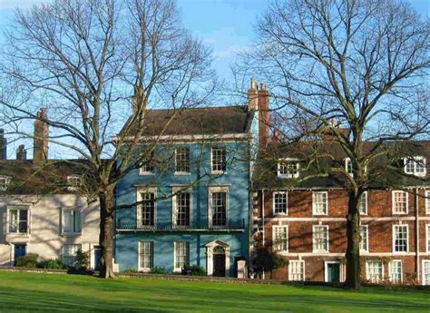 Tree Survey For Mortgage Arboricultural Report Godwins Tree Surveys