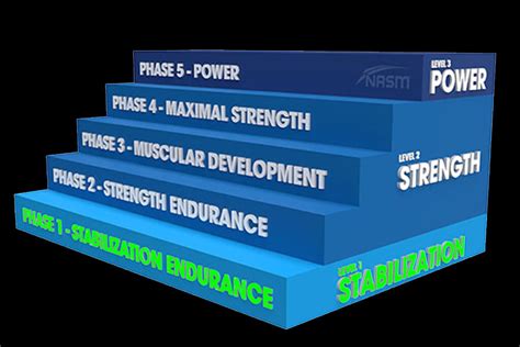 Nasm Pyramid A Guide To Complete Fitness Training Going Swimmingly London Nasm Pyramid A Guide To Complete Fitness Training Going Swimmingly London