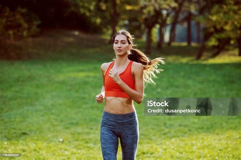 매력적인 맞는 코카서스 갈색 머리 스포츠웨어와 목초지에서 실행 포니 테일 자연의 화창한 아침 건강한 생활방식에 대한 스톡 사진 및 기타 이미지 Istock