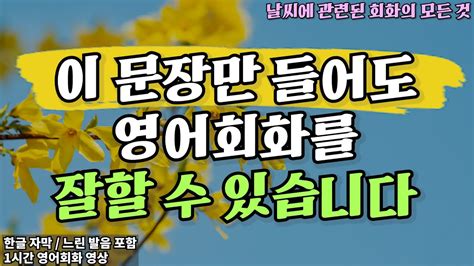 이것만 들어도 영어가 들립니다 쉬운 영어 회화는 쉬운 영어에서 시작하세요 I 원어민 영어회화 I 1시간 영어회화 Youtube