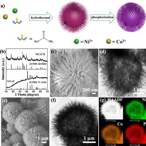 B Ftir Spectra Of Sodium Alginate Download Scientific Diagram