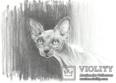 Без кота и жизнь не та А 4 Бумага графитные карандаши 2019г Мишарева Н «violity Auction