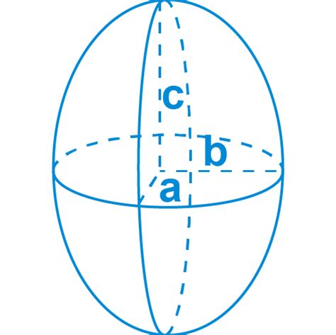 Surface Area Formula Biology At William Stork Blog