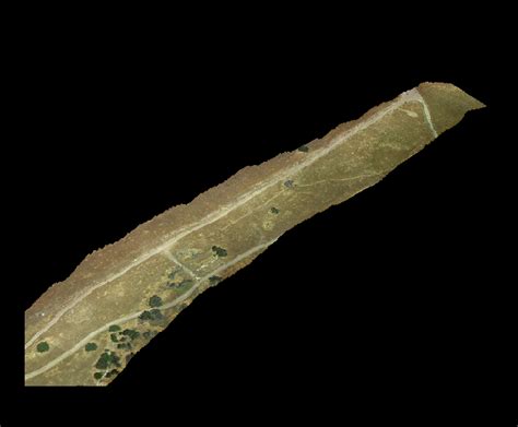 Python Gdalwarp Creates A Perspective Drawing Effect Rather Than An Ortho Rectified Image