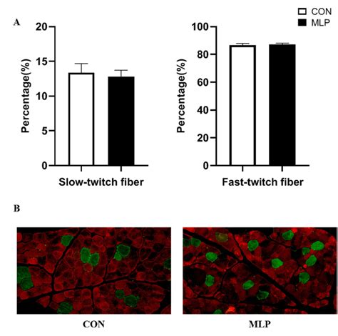 Effect Of Dietary Supplementation With Mulberry Leaf Powder Mlp On