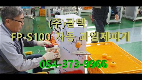 과일 자동 제피기fruit Peeling Machine Youtube