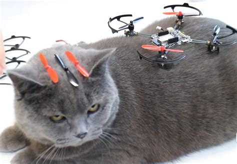 Esp32 S2 Drone 立创开源硬件平台