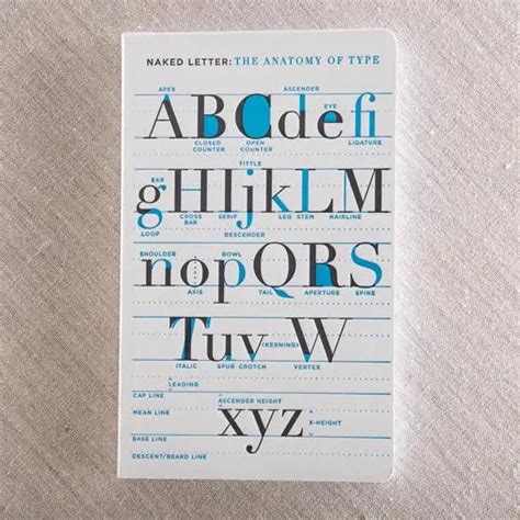 Anatomy Of Type Notebook Of Aspen Curated Ts