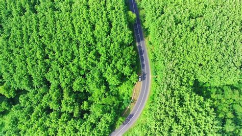 Premium Photo Top View Of Winding Road Between Forests In Mojokerto Central Java Indonesia